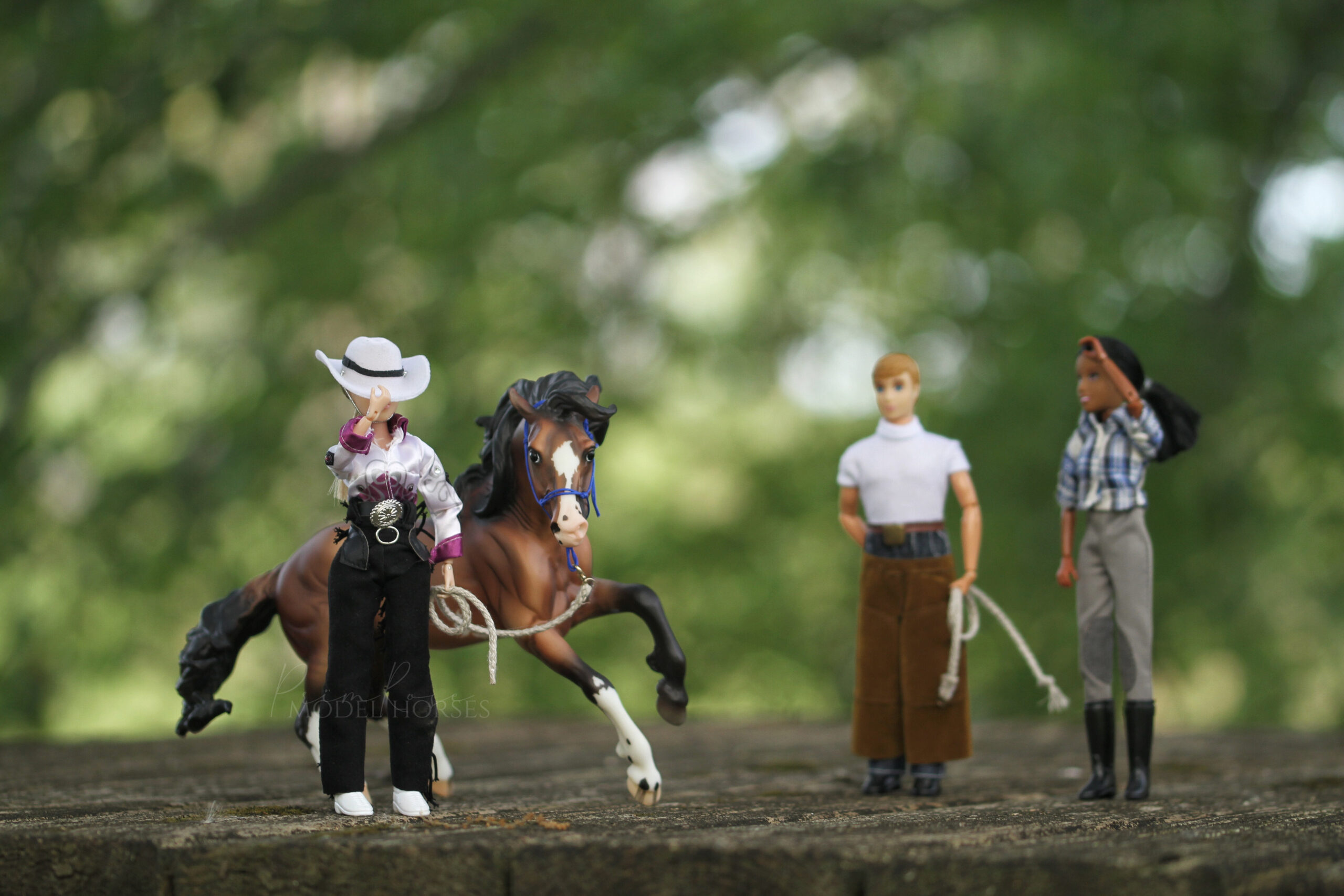 About | Primrose Arts